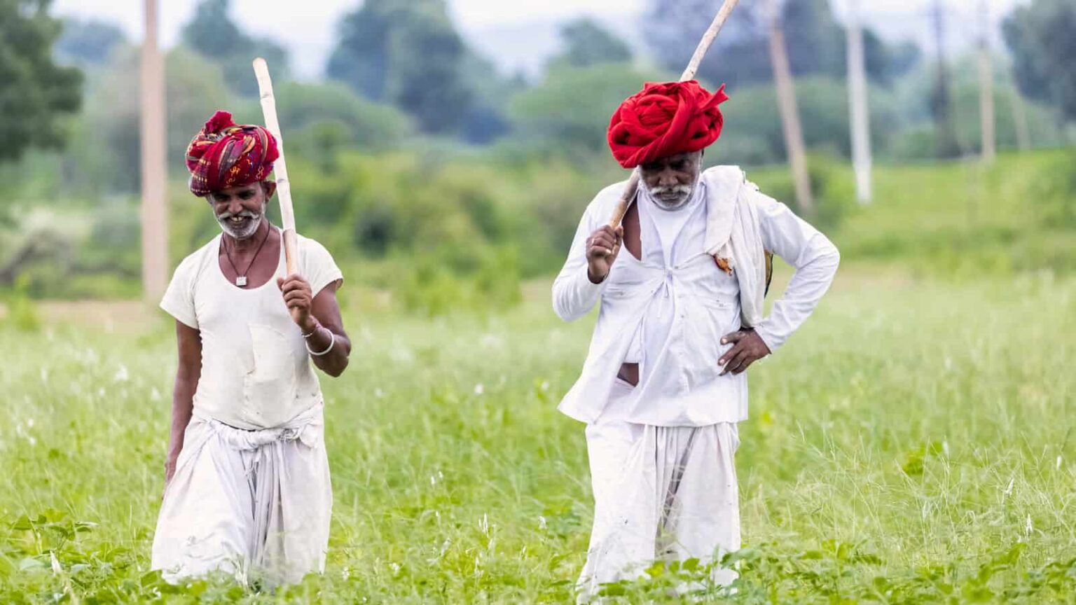 Best Luxury Wildlife Resort in Jawai, Rajasthan - Season's Jawai
