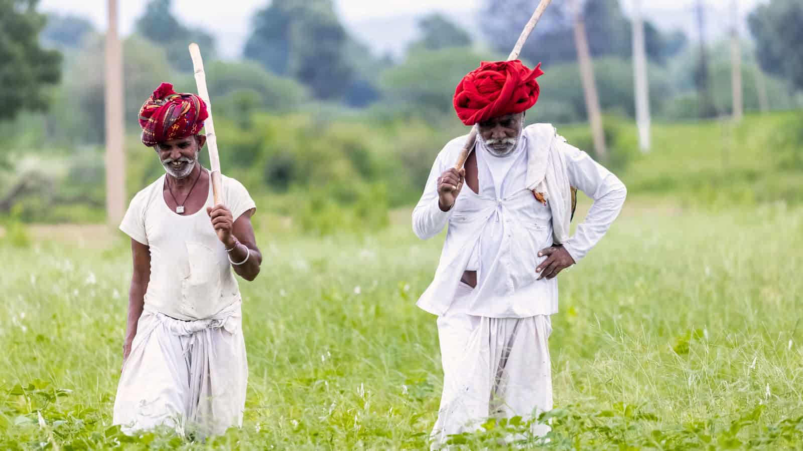 Best Luxury Wildlife Resort in Jawai, Rajasthan - Season's Jawai